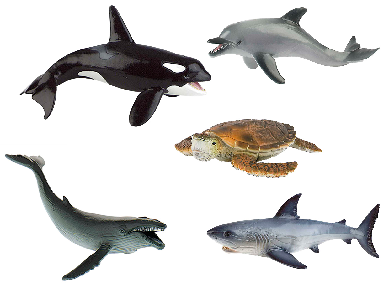 Dupin igre - hacpass